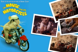 Rick Polizzi | Stop Motion