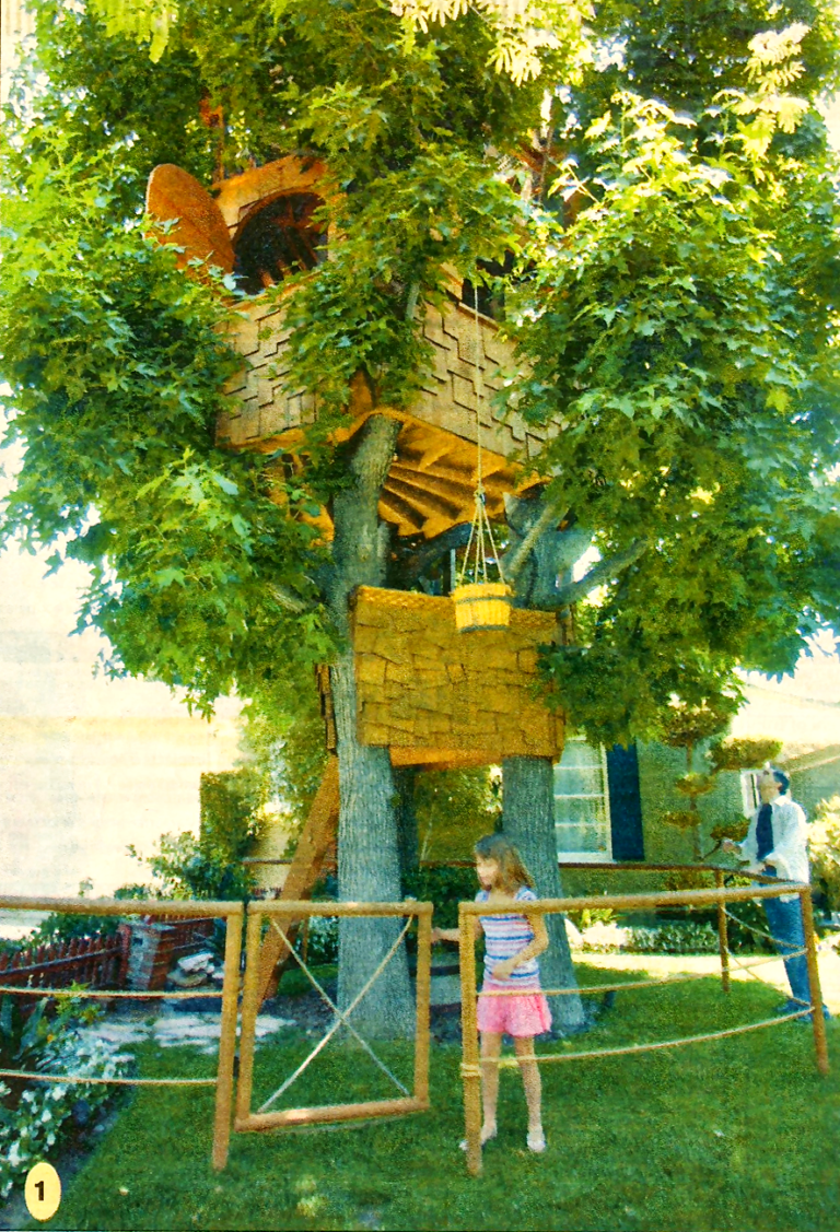 Rick Polizzi | Treehouse