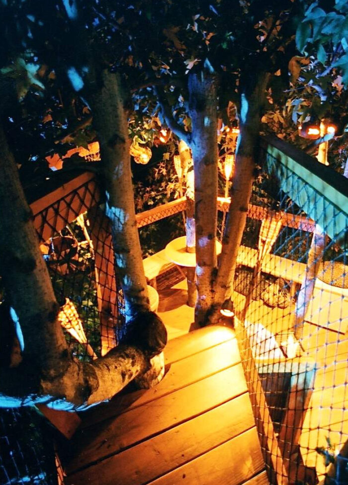 Rick Polizzi | Treehouse