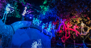 Rick Polizzi | Boney Island